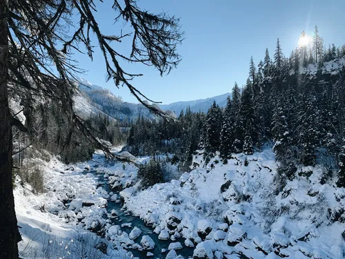 Best Hot Springs Trails in Pemberton Meadows | AllTrails