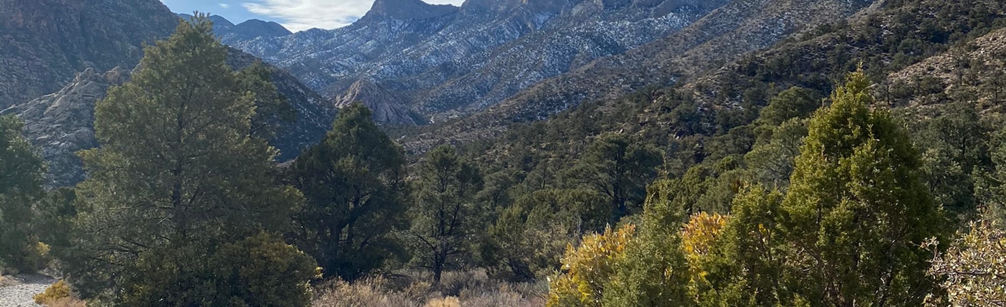 La Madre Springs Trail: 982 Reviews, Map - Nevada | AllTrails