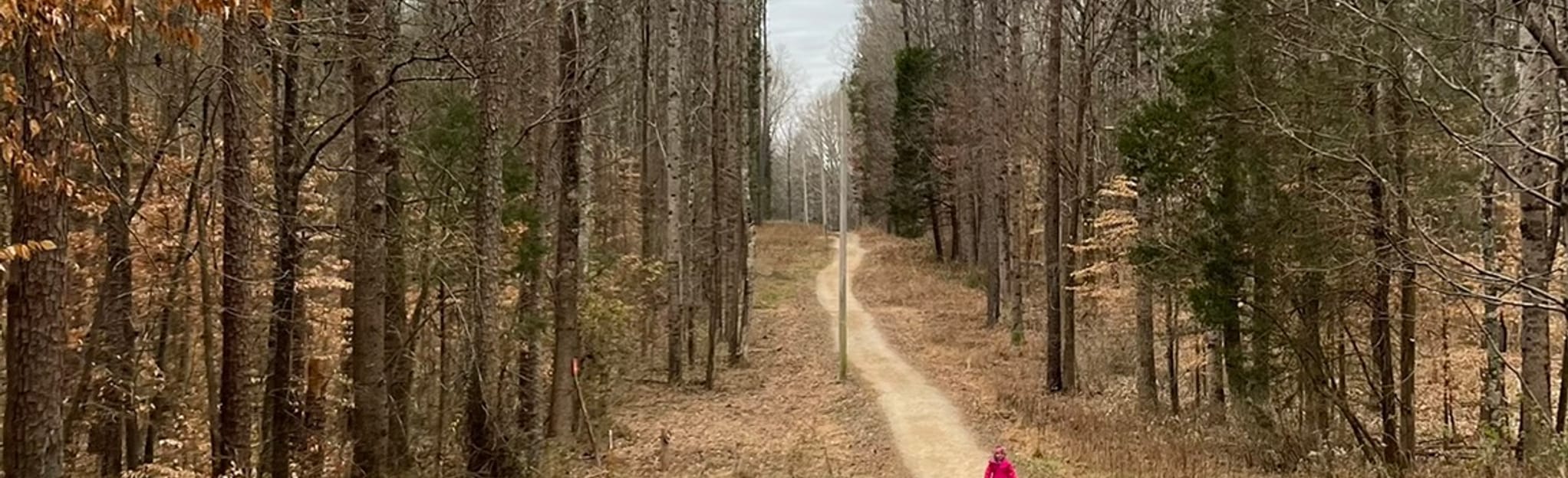 Shady Trail | Map, Guide - North Carolina | AllTrails