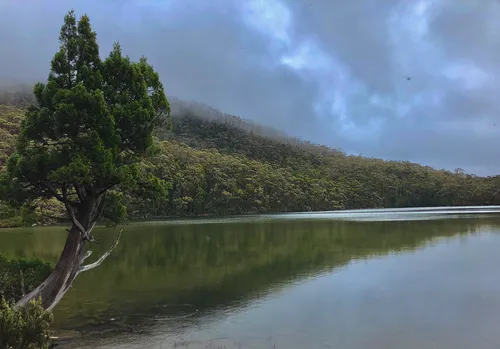 10 Best Hikes and Trails in Mount Field National Park | AllTrails