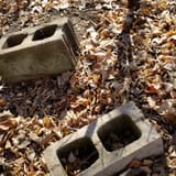 Linear Trail, Kansas - 194 Reviews, Map | AllTrails