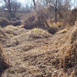 Linear Trail, Kansas - 194 Reviews, Map | AllTrails