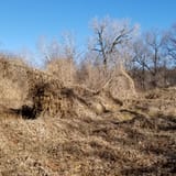 Linear Trail, Kansas - 194 Reviews, Map | AllTrails