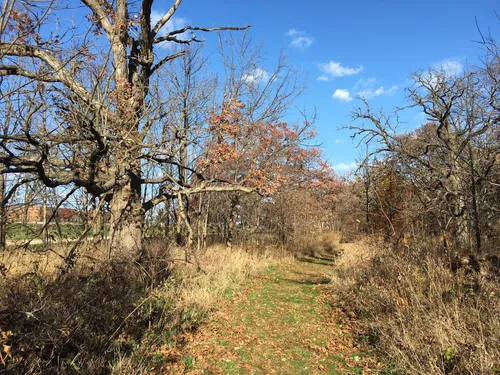 Best Hikes and Trails in Kenyon Farm Forest Preserve | AllTrails