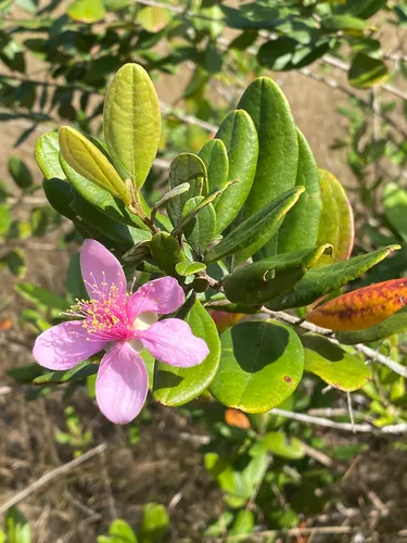 Best Hikes and Trails in Botum Sakor National Park | AllTrails