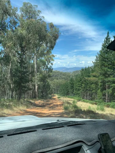 Best Camping Trails in Stanley | AllTrails