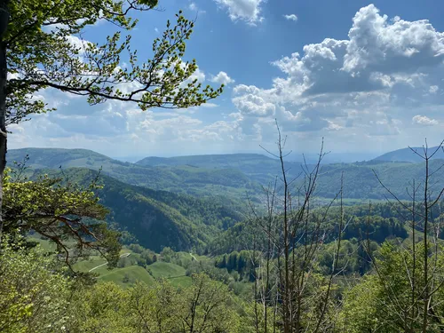 10 Best Trails and Hikes in Basel Country | AllTrails