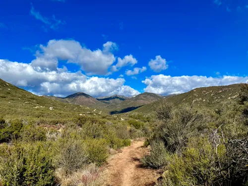 10 Best Trails and Hikes in Mount Laguna | AllTrails