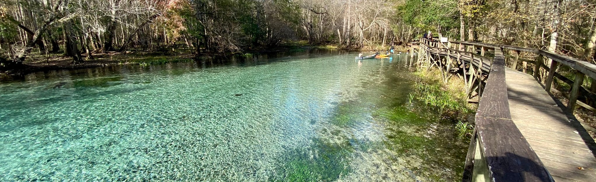 Gilchrist Blue Springs Loop , Florida - 142 Reviews, Map | AllTrails