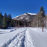 Collegiate Peaks Campground Hike, Colorado - 40 Reviews, Map | AllTrails