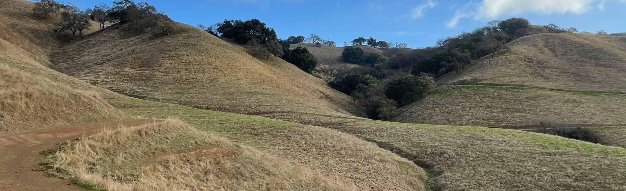 Harvey Bear to Willow Springs Loop - California | AllTrails