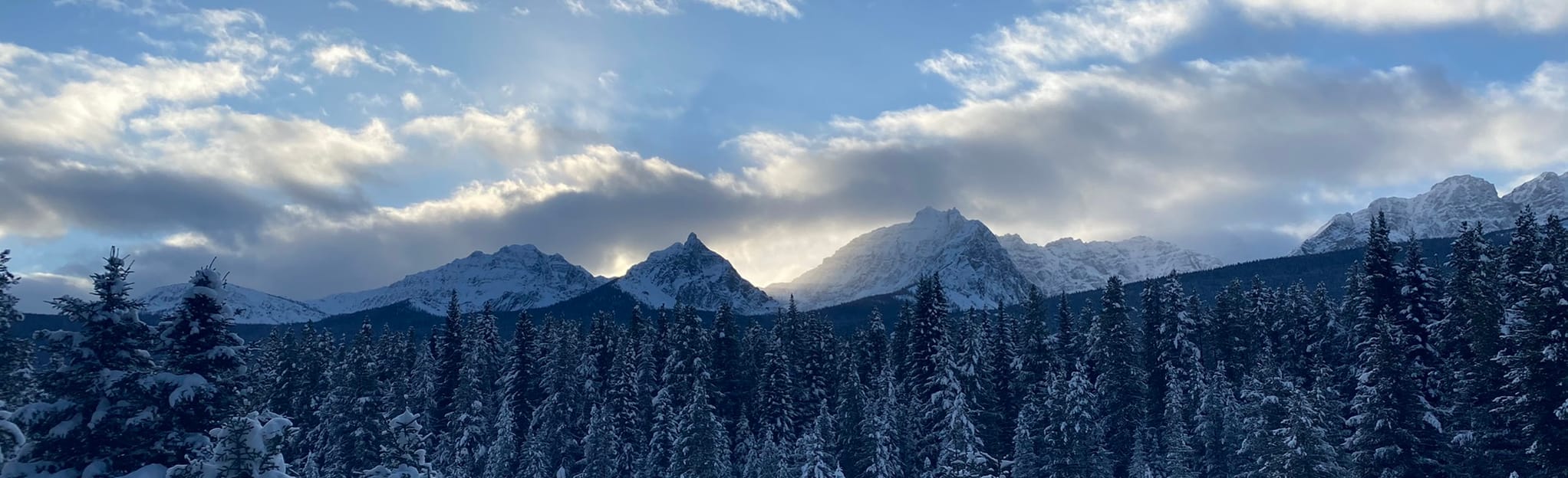 Train Track Trail, Alberta, Canada - 38 Reviews, Map | AllTrails