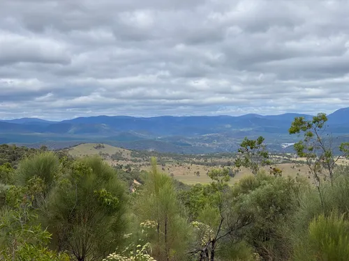 10 Best Forest Trails in Stromlo | AllTrails