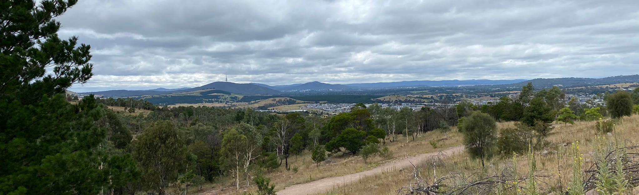 Stromlo Forest Long Loop: 52 foto's - Australian Capital Territory ...