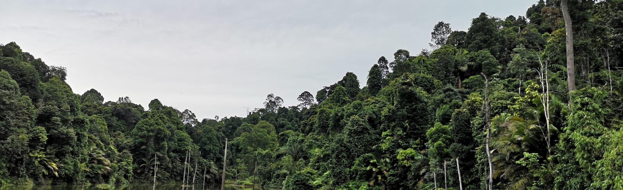 Sungai Long Hill Loop, Selangor, Malaysia - 253 Reviews, Map | AllTrails