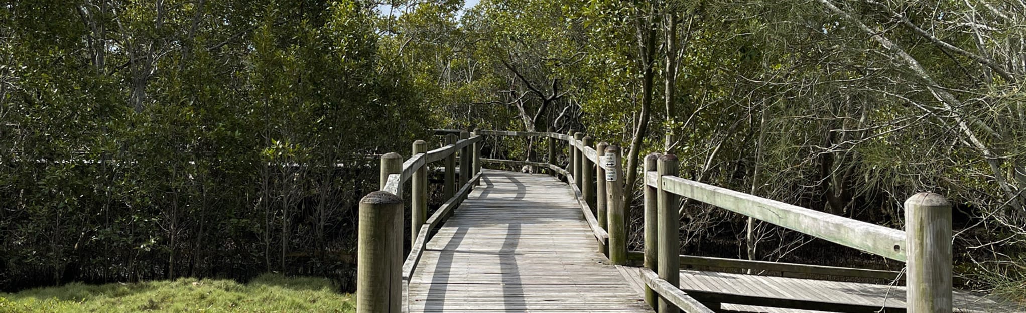 Boondall Wetlands Paddle: 0 Reviews, Map - Queensland, Australia ...