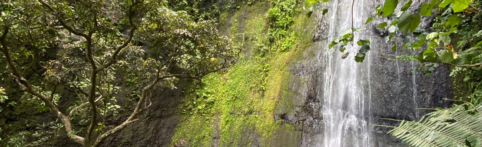Afareaitu Waterfalls: 119 Reviews, Map - Moorea, French Polynesia ...