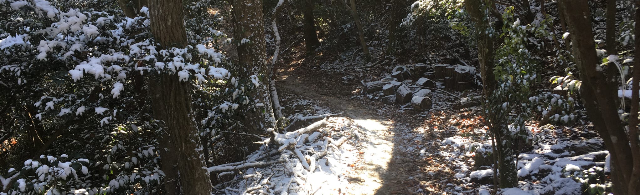 Nakayama-Kannon - Mount Nakayama - Kiyoshi-kōjin | Map, Guide - Hyōgo ...