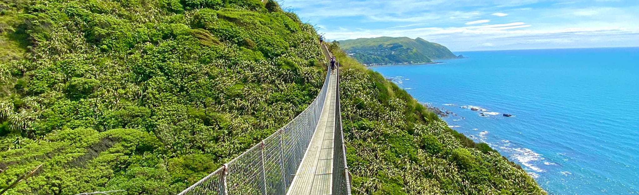 Paekakariki Escarpment Track, Wellington, New Zealand - 548 Reviews ...