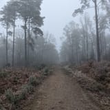 The Hurtwood and Winterfold Hill, Surrey, England - 63 Reviews, Map ...