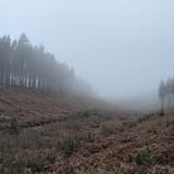 The Hurtwood and Winterfold Hill, Surrey, England - 63 Reviews, Map ...