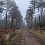 The Hurtwood and Winterfold Hill, Surrey, England - 63 Reviews, Map ...