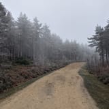 The Hurtwood and Winterfold Hill, Surrey, England - 63 Reviews, Map ...