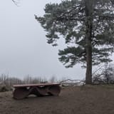 The Hurtwood and Winterfold Hill, Surrey, England - 63 Reviews, Map ...