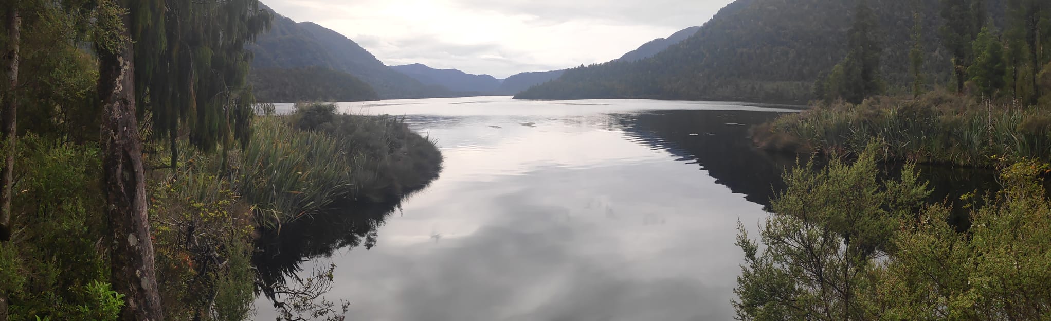 Lake Ellery Track, West Coast, New Zealand - 5 Reviews, Map | AllTrails