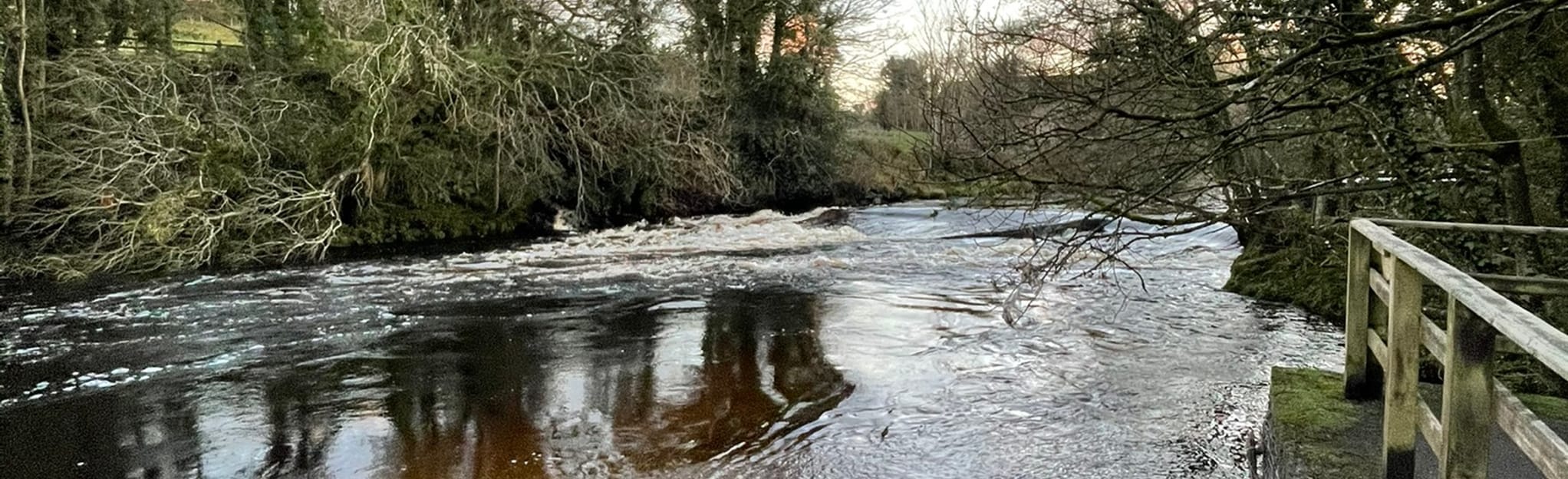 Roe Valley Country Park, and Carrick Church Circular: 53 Reviews, Map ...