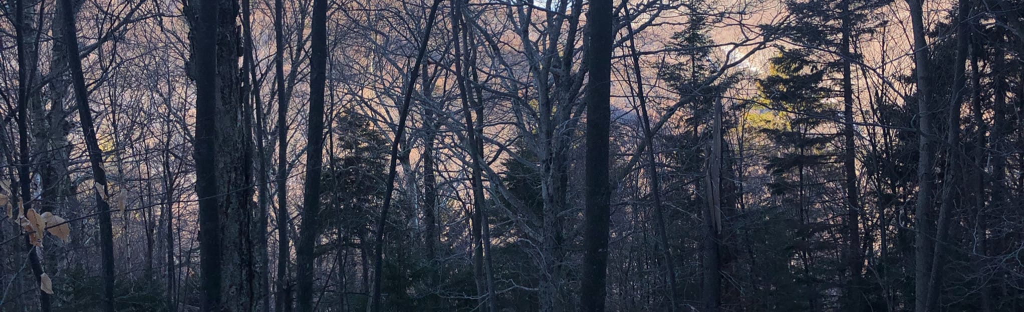 Bear Brook Trail, Vermont - 14 Reviews, Map | AllTrails