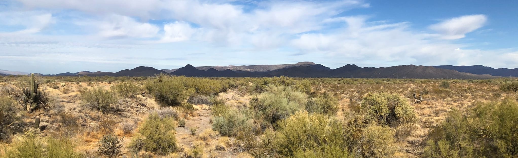 Paseo Pathway, Arizona - 150 Reviews, Map | AllTrails