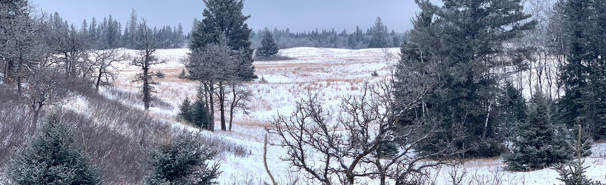 Cree Winter Trail: 34 Reviews, Map - Manitoba, Canada | AllTrails