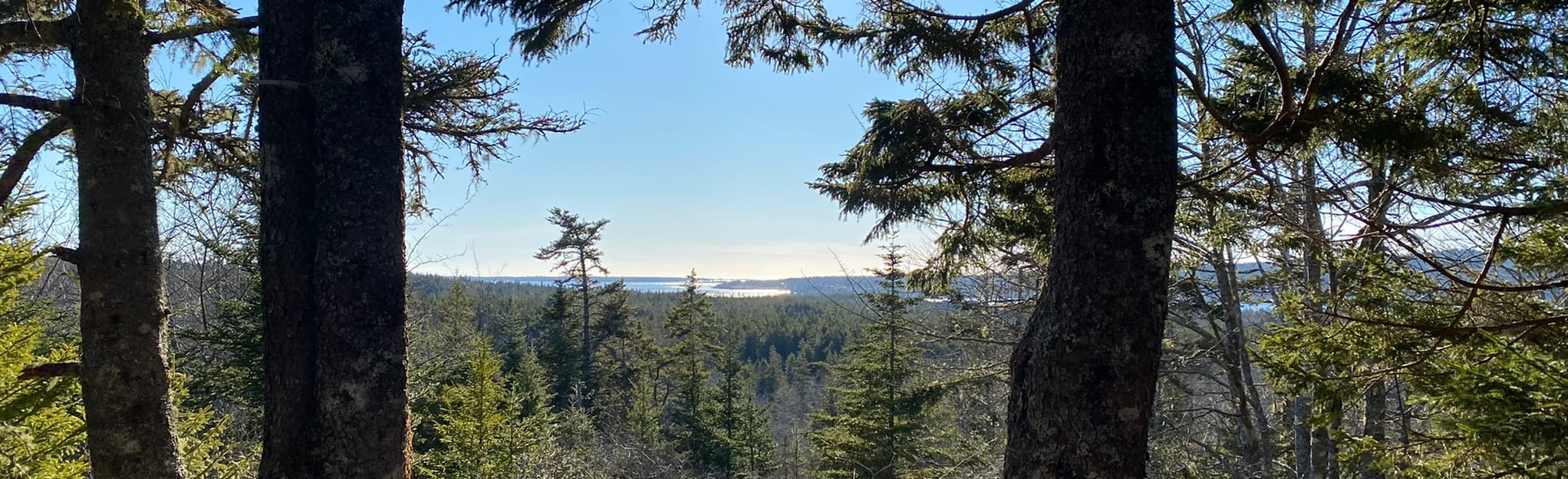 Indian Path Common Hiking Trails, Nova Scotia, Canada - 92 Reviews, Map ...