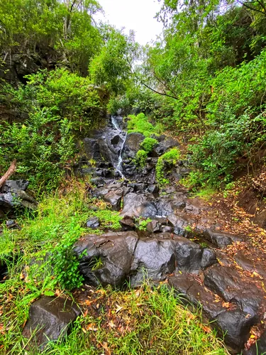 Best Waterfall Trails in Highfields | AllTrails