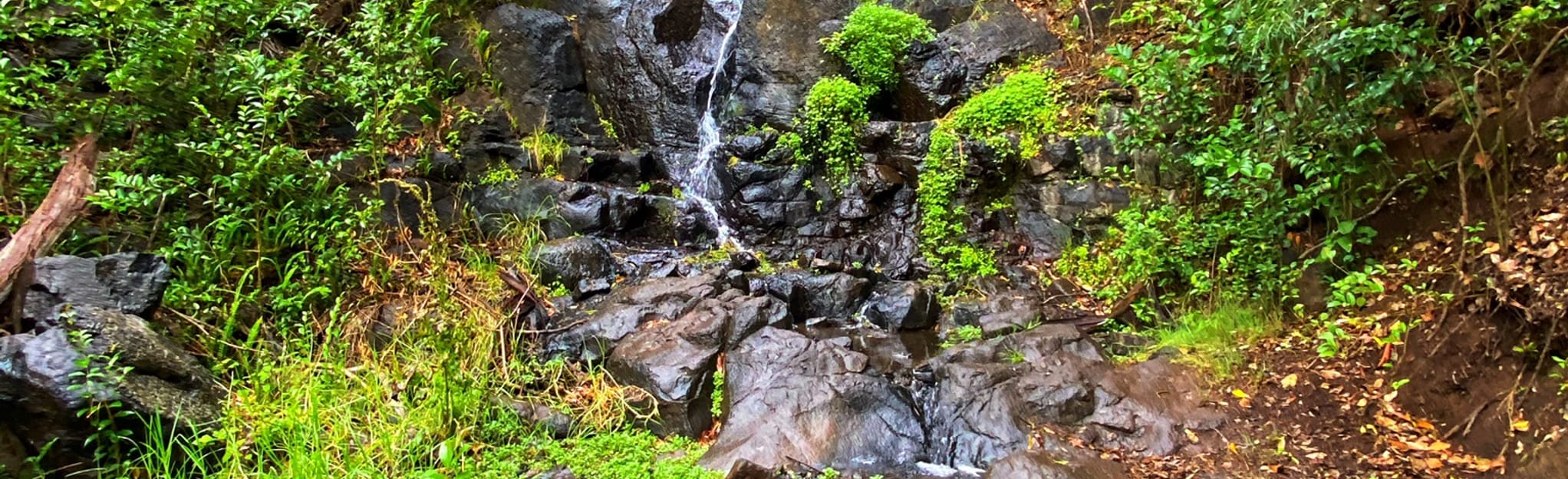 Highfields Falls Bushland Loop, Queensland, Australia - 30 Reviews, Map ...