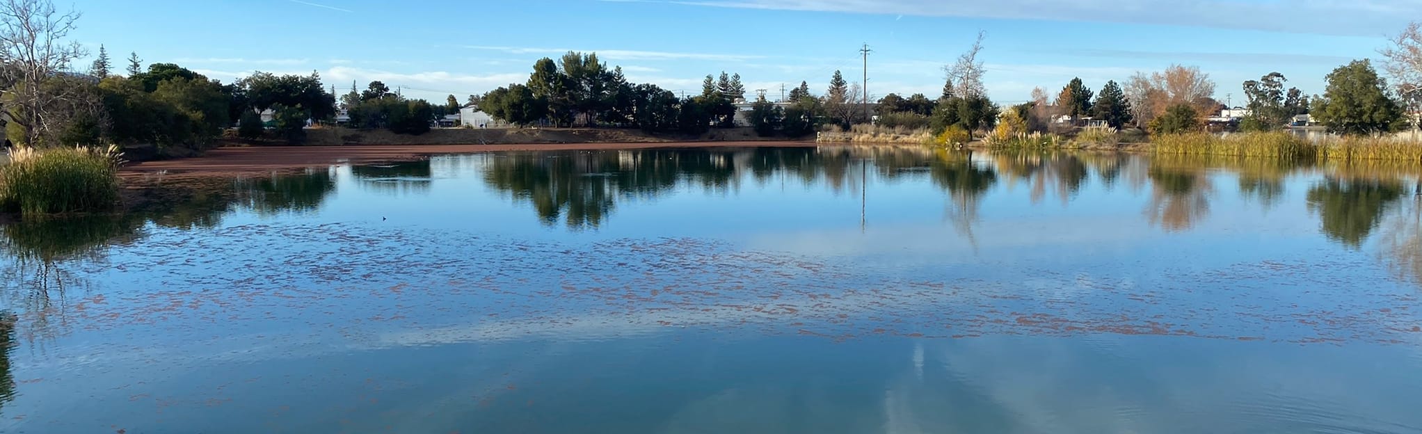 Camden Pond Loop: 201 Reviews, Map - California | AllTrails