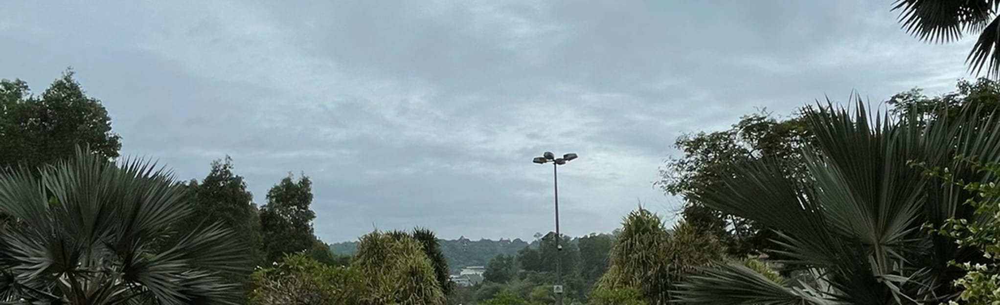 Rimba Riang Park Loop: 76 Reviews, Map - Kuala Lumpur, Malaysia | AllTrails