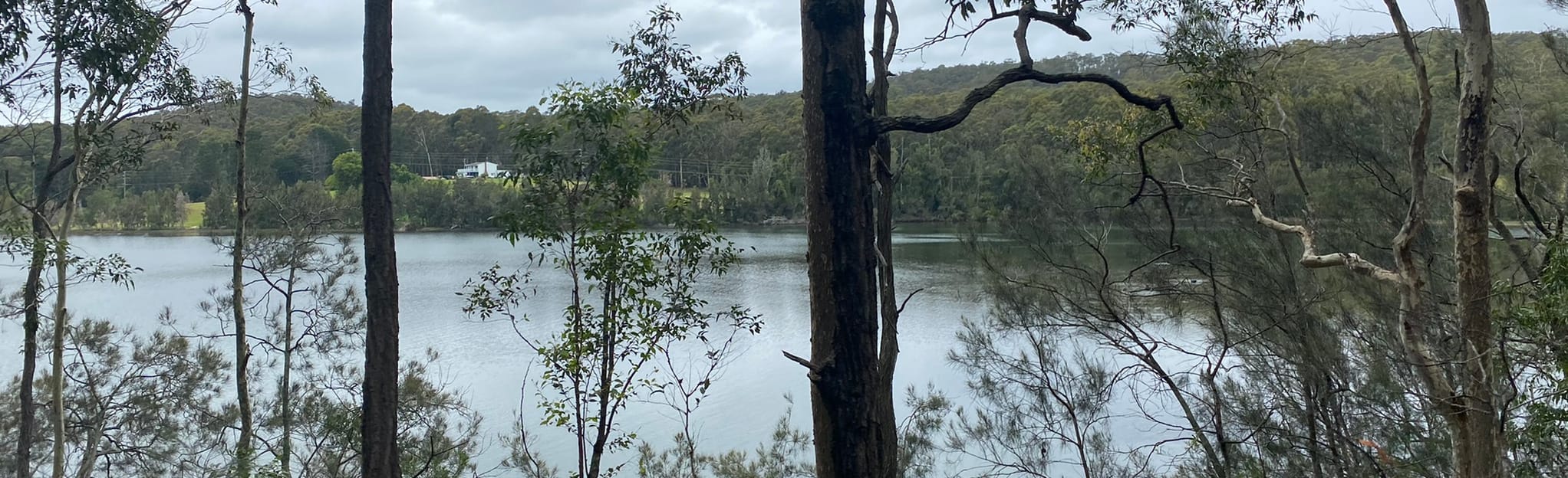 Mummuga Lake Walking Track: 43 Fotos - New South Wales, Australien ...