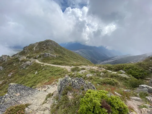 10 Best Hikes and Trails in Alpine National Park | AllTrails