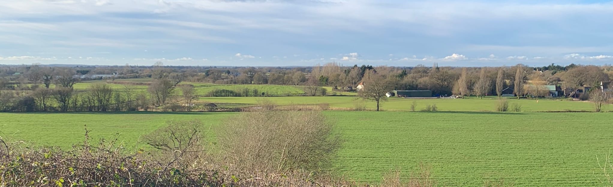 Great Notley Country Park, Essex, England - 39 Reviews, Map | AllTrails