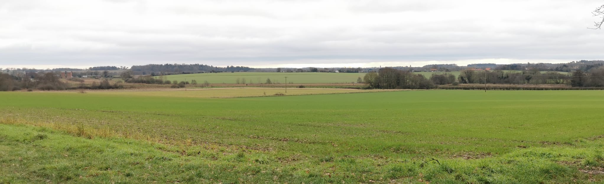 Bacton Woods Circular: 64 Reviews, Map - Norfolk, England | AllTrails