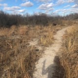 Fort Tilden Loop, New York - 310 Reviews, Map | AllTrails