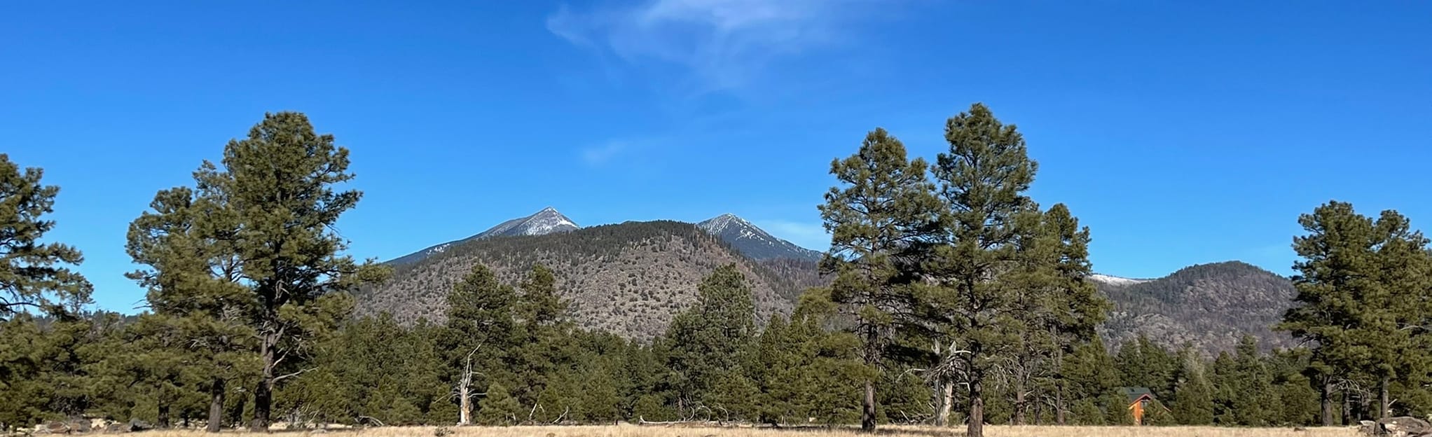 Buffalo Park to Paradise Spring, Arizona - 304 Reviews, Map | AllTrails