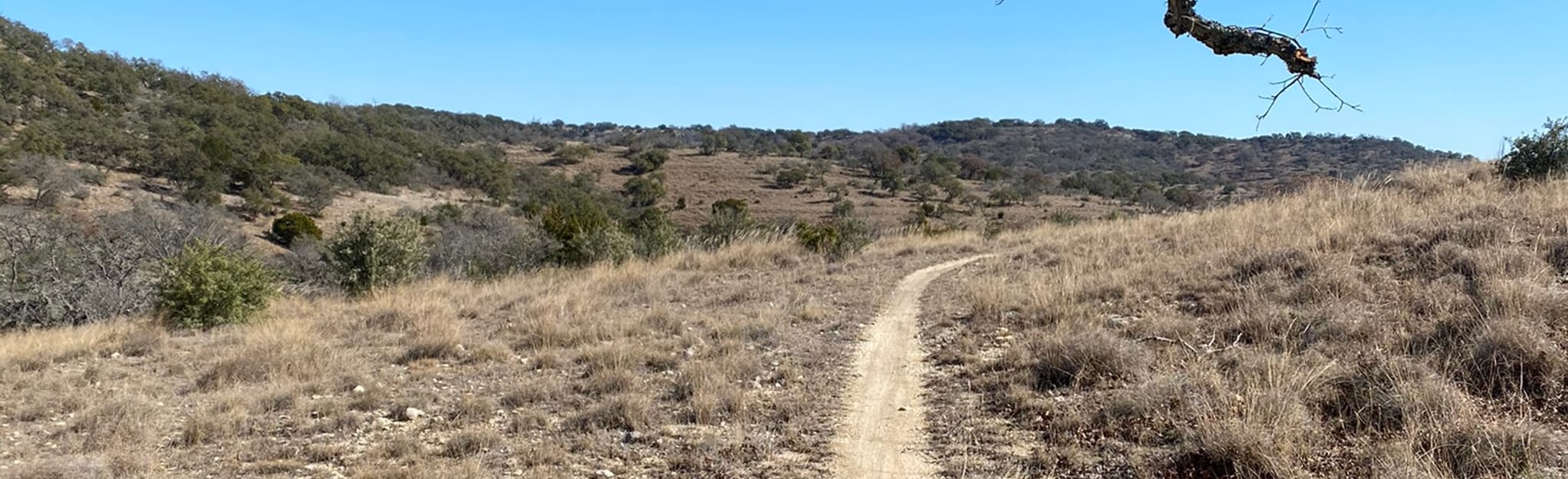 Flat Rock Ranch Mountain Biking Trails Loop: 106 Reviews, Map - Texas ...