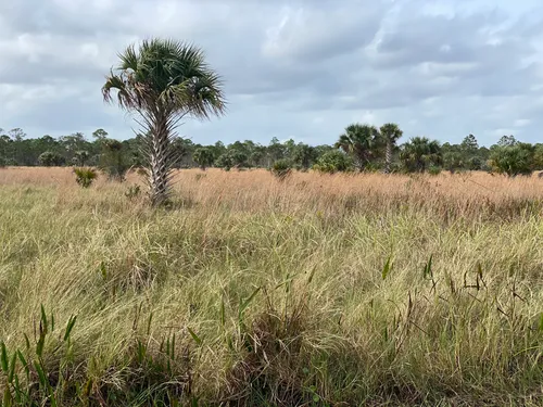 Best Hikes and Trails in Stuart | AllTrails