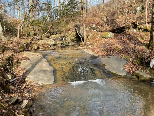 Best Hikes and Trails in Canton | AllTrails