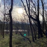 Windolph Landing Preserve Trail, Pennsylvania - 95 Reviews, Map | AllTrails