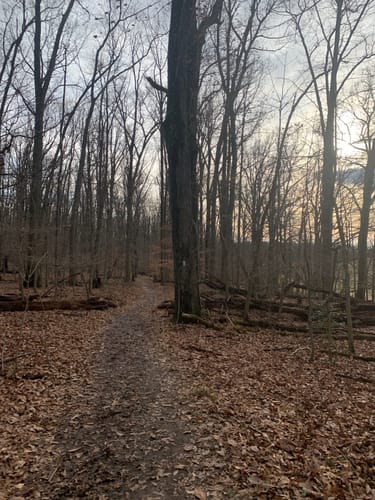 Best Hikes and Trails in Blockhouse Point Park | AllTrails