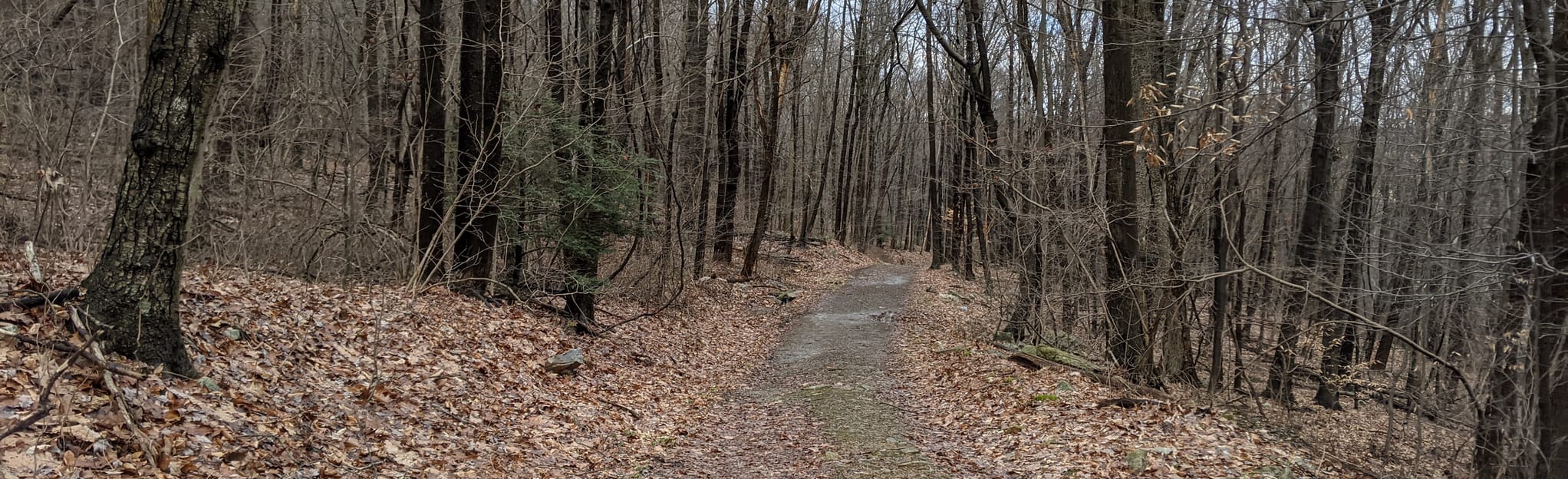 Appalachian, Pinnacle and Fire Break Trail Loop | Map, Guide ...